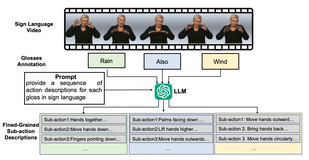 HST-SLR: Hierarchical Sub-action Tree for Continuous Sign Language Recognition